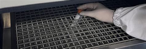 BlueGene Plasmid Manufacturer Factory Different Types Of Plasmids For Sale