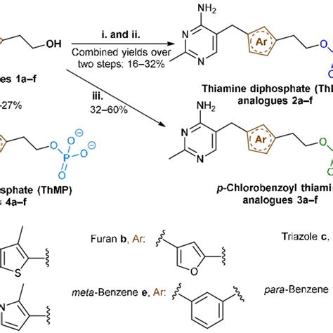 Scheme 1 Tail Modifications Of Thiamine Analogues Reagents And Download Scientific Diagram