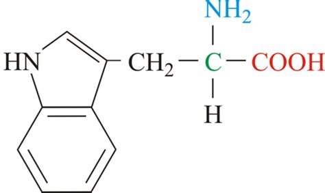 What Is Tryptophan