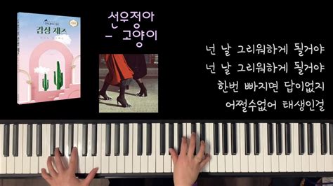 감성재즈 선우정아 ‘고양이 Feat 아이유 Youtube