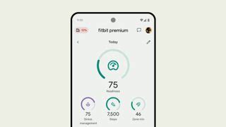 Step Streaks And More Are Coming Back To The Fitbit App Android Central