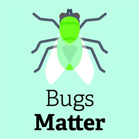 new bug splatter app to reveal more about insect populations buglife