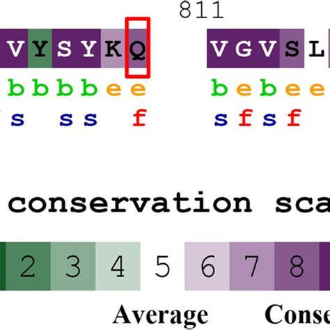 Evolutionary Conservation Scores For Residues Encompassing The Q810
