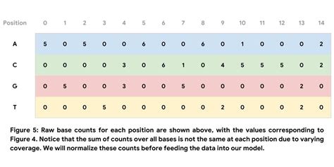 Using Nucleus And TensorFlow For DNA Sequencing Error Correction The TensorFlow Blog