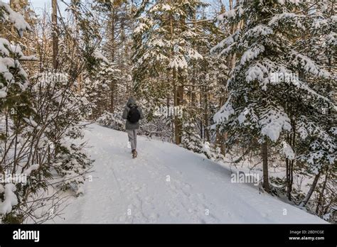 Bruce Peninsula National Park The Grotto And Indian Head Cove Fathon Five