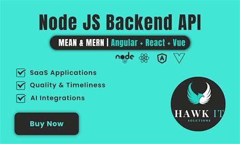 Develop Backend Api Web App In Node Js Angular React And Vue By Hawk
