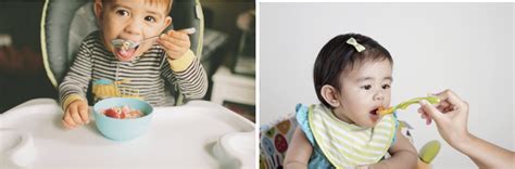 Complementary Feeding Approaches A Review Of The Benefits And Risks — Healthly Institute