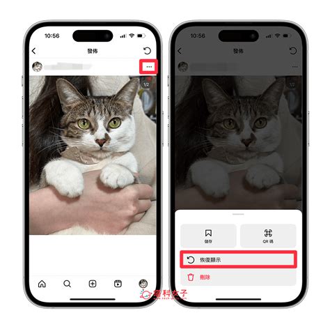 Ig 大量刪文怎麼用？教你快速在 Ig 一次刪除貼文！ 塔科女子