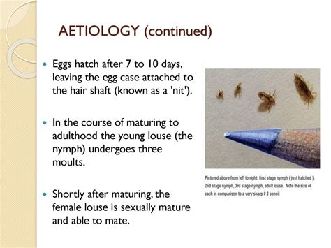 COMMUNITY PHARMACY LECTURE NO Ppt Download