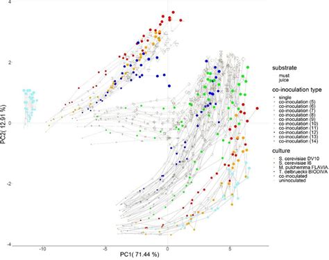 Score Plot Of The Principal Component Analysis Of Volatile Organic Download Scientific Diagram