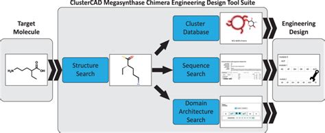 Overview Of Clustercad 2 0s Suite Of Features Features New To