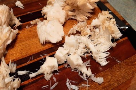 How To Prepare Lions Mane Mushrooms Cleaning Prepping And Cooking Mushroom Appreciation