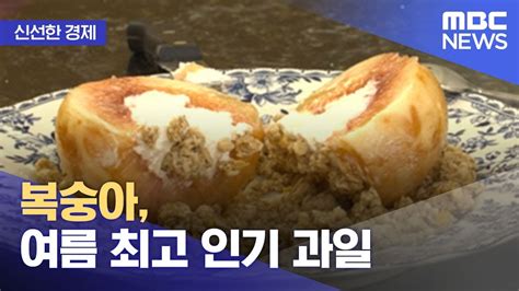 신선한 경제 복숭아 여름 최고 인기 과일 20220822뉴스투데이mbc Youtube