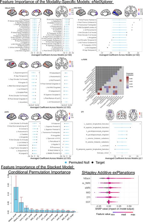 Feature Importance Of The Modality‐specific And Stacked Models For The Download Scientific