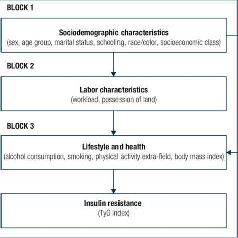 Hierarchical Theoretical Model Of The Possible Relationships Between Download Scientific