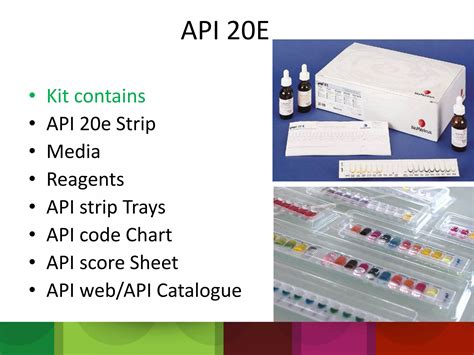 api 20 e pdf operating systems computer software and applications