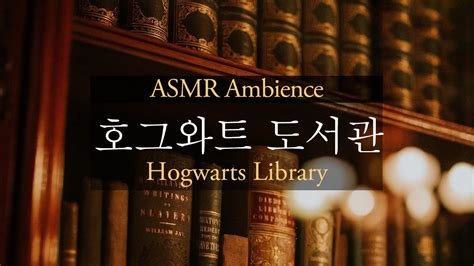 Asmr 쉿~ 조용 호그와트 도서관에서 공부하기 해리포터 앰비언스 Youtube