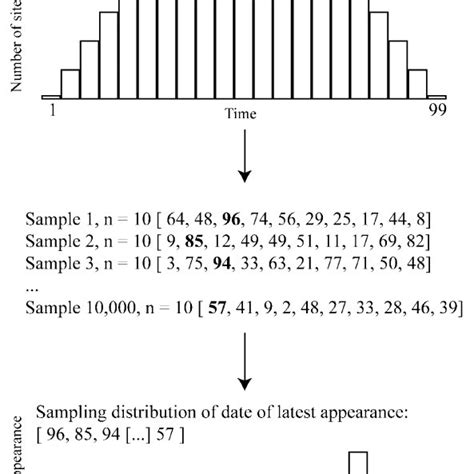 Schematic Example Of The Sampling Simulation Process 10000