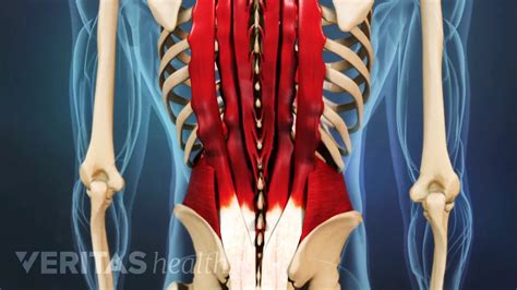 Lower Back Muscle Strain Symptoms
