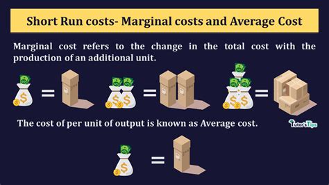 Short Run Costs Average Cost And Marginal Cost Tutor S Tips