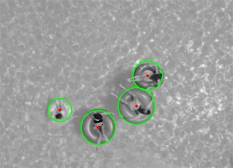 Stm32图像处理库介绍 Mcu加油站