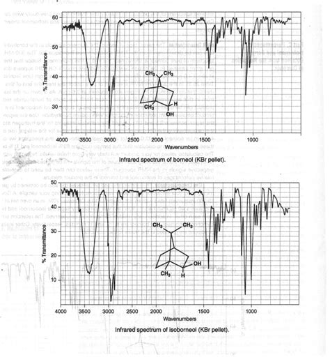 Solved Interpret The Major Absorption Bands In The Infared