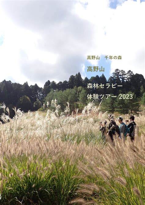 高野山寺領森林組合 1200年の森林を後世へ世界遺産高野山の森林環境の護持育成を担っています