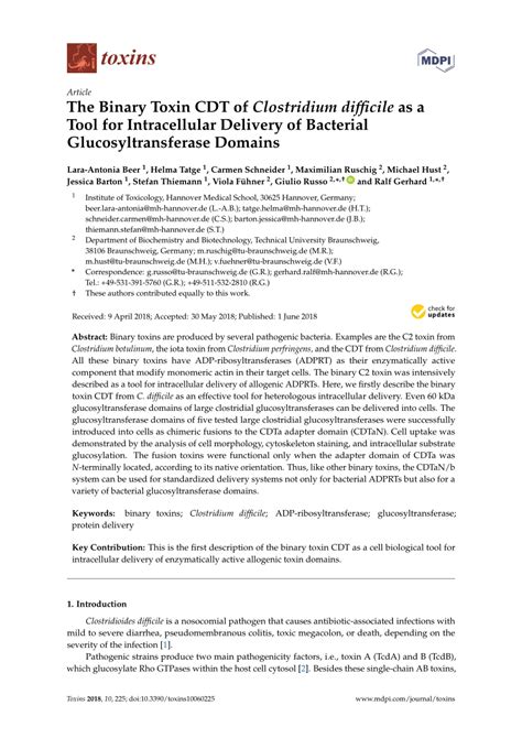 Pdf The Binary Toxin Cdt Of Clostridium Difficile As A Tool For Intracellular Delivery Of