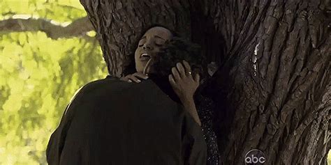 The Liberal Shill On Tumblr