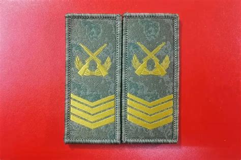 21式作训服士兵新军衔大全