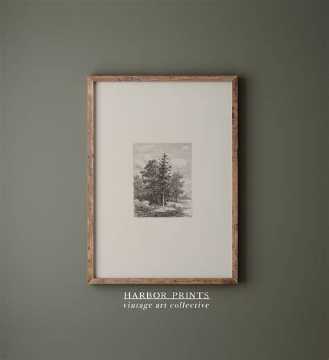 Vintage Neutral Tree Sketch Scientific Wildlife And Nature