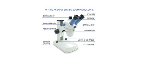 Stereo Microscope Parts Diagram With Labels And Functions — Au