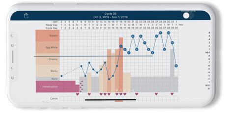 How To Track Ovulation Trying To Conceive Lucie S List