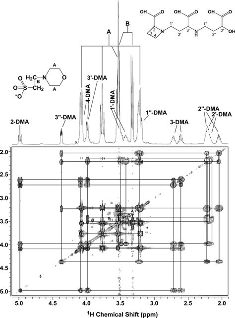 Homonuclear Correlation Between 1h Nmr Signals In The Two Dimensional