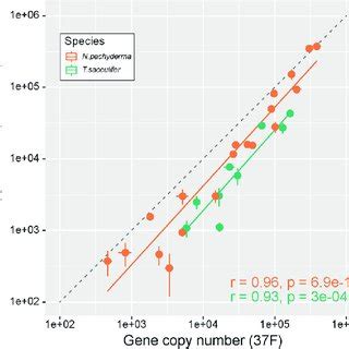 Gene Copy Number Estimation With Pooling Of Ten Specimens Comparison Download Scientific