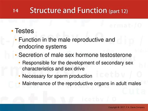 Lecture Notes A PowerPoint Presentation Ppt Download