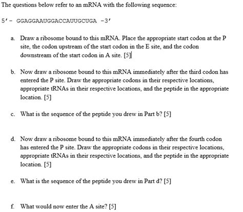 Solved The Questions Below Refer To An Mrna With The Following