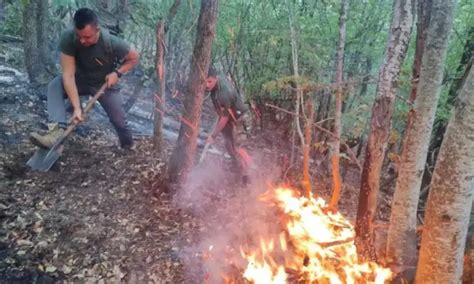 Потушен е пожарът в планината Славянка ᐉ Новини Tribune Bg
