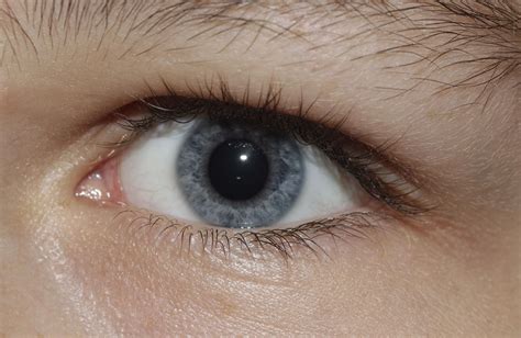 무료 사진 얼굴 소녀 시력 속눈썹 피부 여자 안구 시력