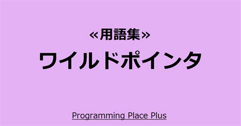 ワイルドポインタ Programming Place Plus 用語集