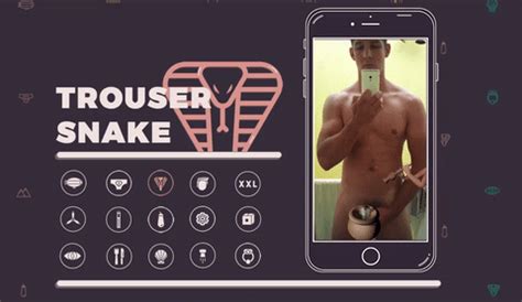 Pornhub lance Trickpics pour couvrir vos parties intimes avec un filtre à la Snapchat