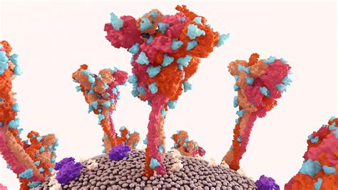 La Variante Du Sras Cov 2 Eris Se Propage Plus Rapidement Et échappe à