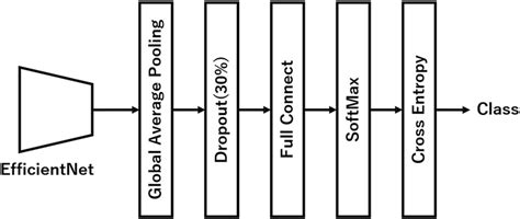 Class Head Architecture Download Scientific Diagram