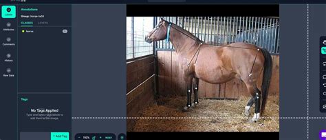 Pose Estimation Annotation Saving Issues 🤝 Community Help Roboflow
