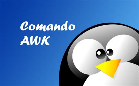 Comando Awk Infopaches