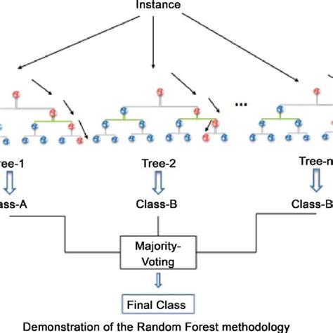 Demonstration Of The Random Forest Methodology Download Scientific Diagram