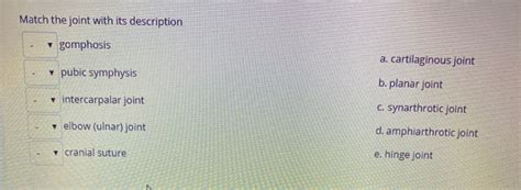 Solved Match The Joint With Its Description Gomphosis A