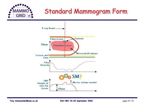 Ppt The Mammogrid Project Powerpoint Presentation Free Download Id 5944556