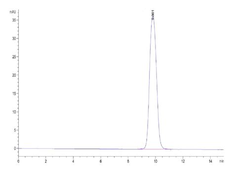 Human Cynomolgus Activin Riib Acvr2b Protein Arb Hm12b Kactus