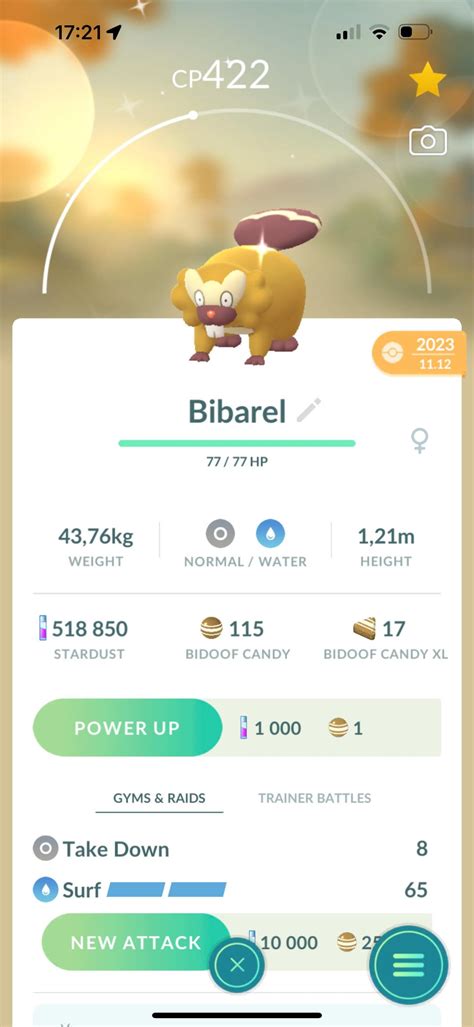 Ive Noticed Bidoof Is Somewhat Of A Meme But What About Big Doof R Pokemongomystic